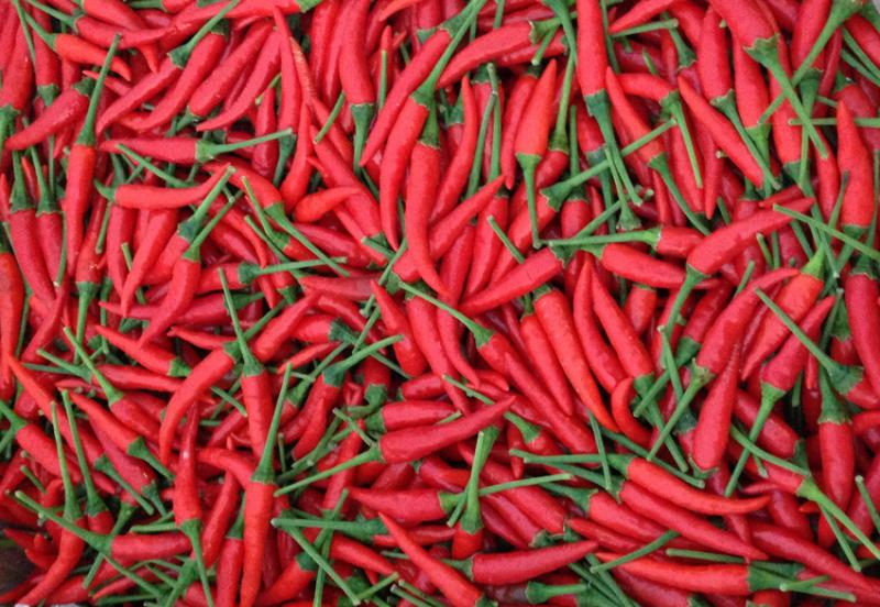 FRESH SMALL RED CHILLI